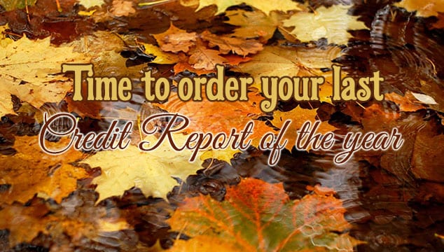It’s Time to Order Your Last Report for 2015